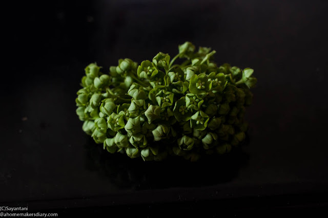 Jukti phool er shukto - A Homemaker's Diary