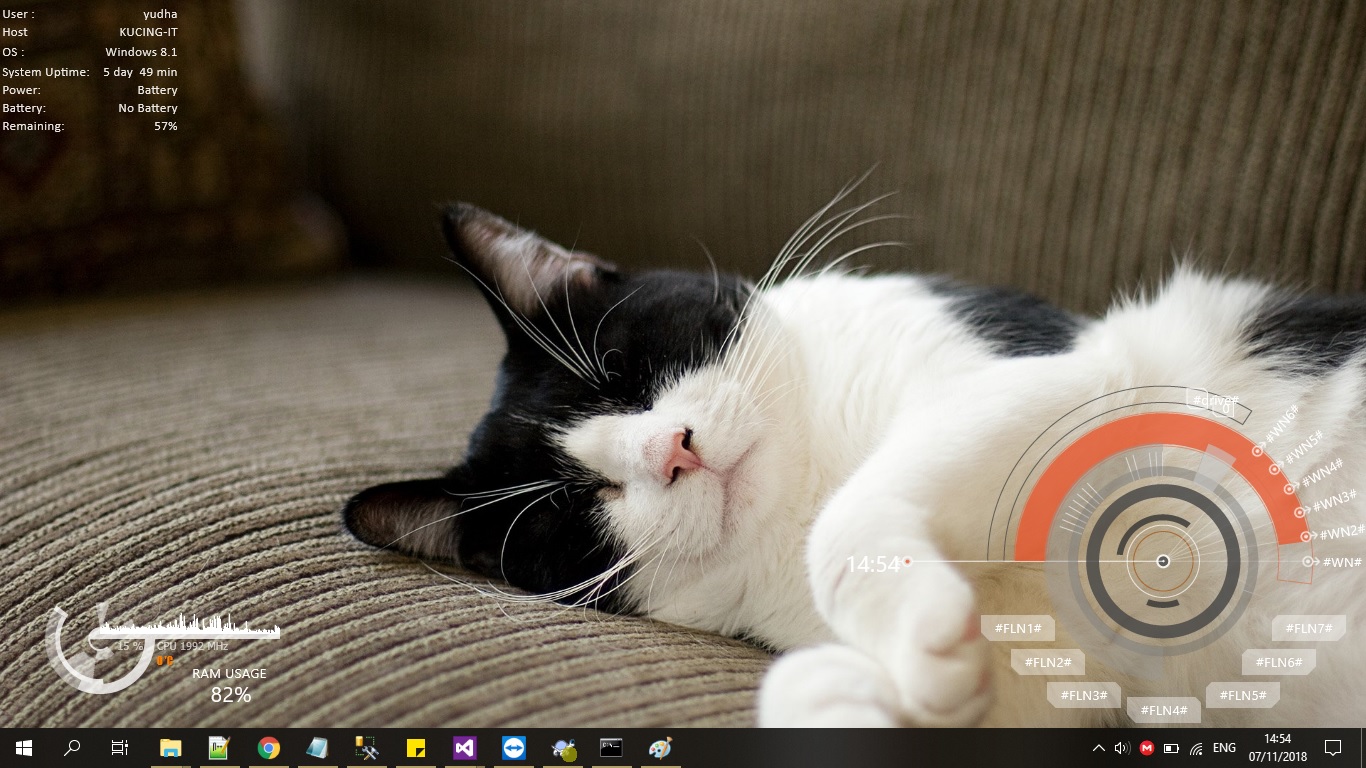 Windows 10 Dengan Tema Kucing ~ Yudha's World