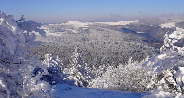 Alpinersport: Los Vosgos, un pequeño tesoro en el corazón de Europa