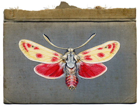 Sloe Gin Fizz: Book Business Tuesday: Rose Sanderson