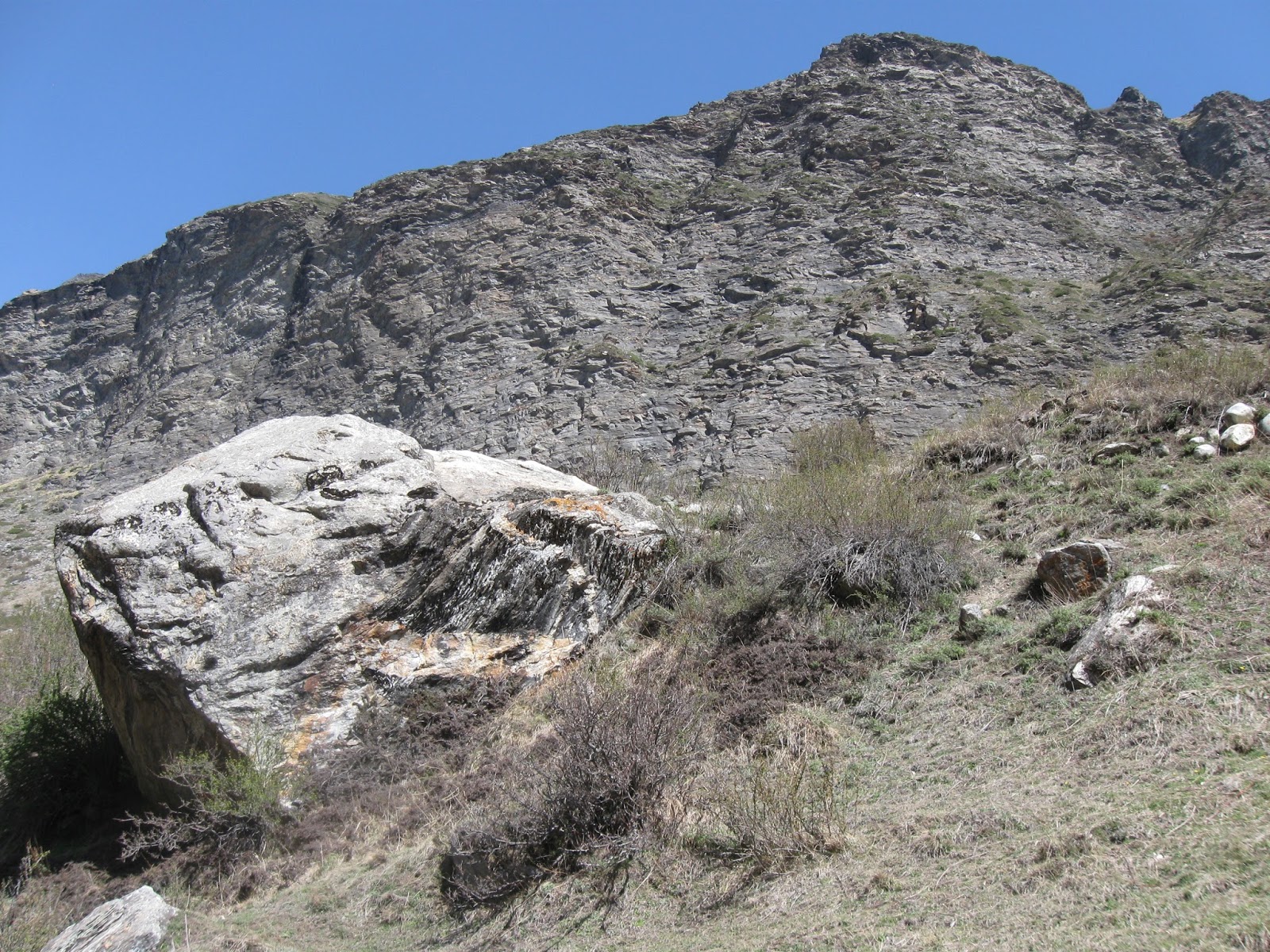 Rapid Uplift: Field Photo: Glacial Erratic