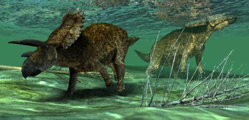 Weapon of Mass Imagination