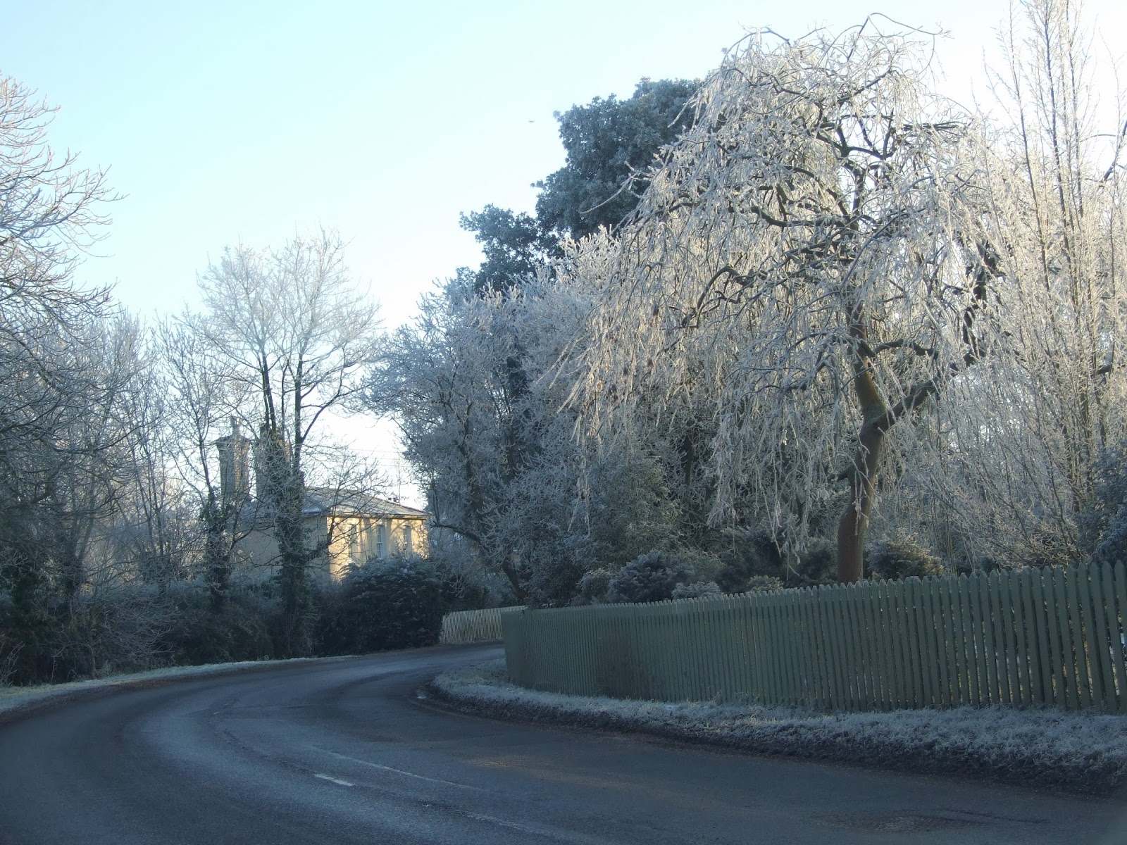 Gilly Marklew watercolour artist and tutor: REFERENCE FOR FROSTY TREES ...