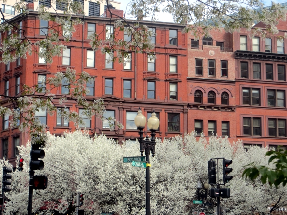 A week without knitting: Boston edition