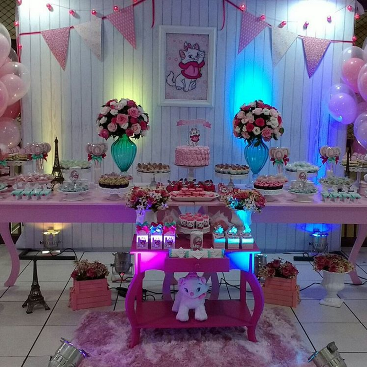 Una fiesta con la linda gatita Marie