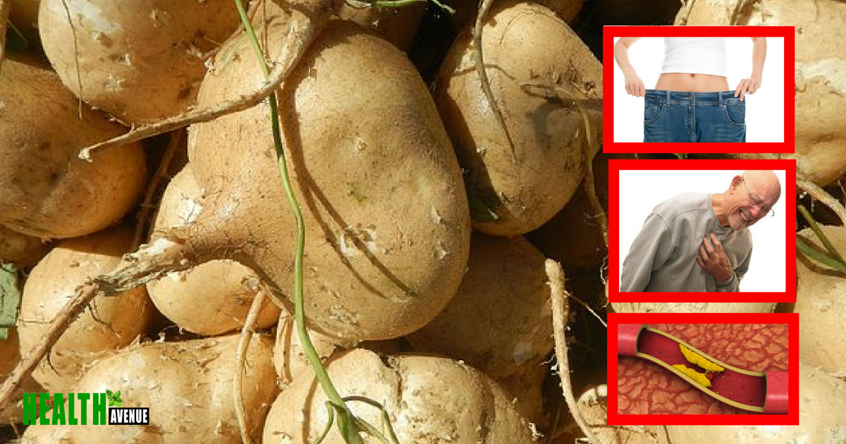 For organs, heart, weight loss & more! Here are the HEALTH BENEFITS OF ...