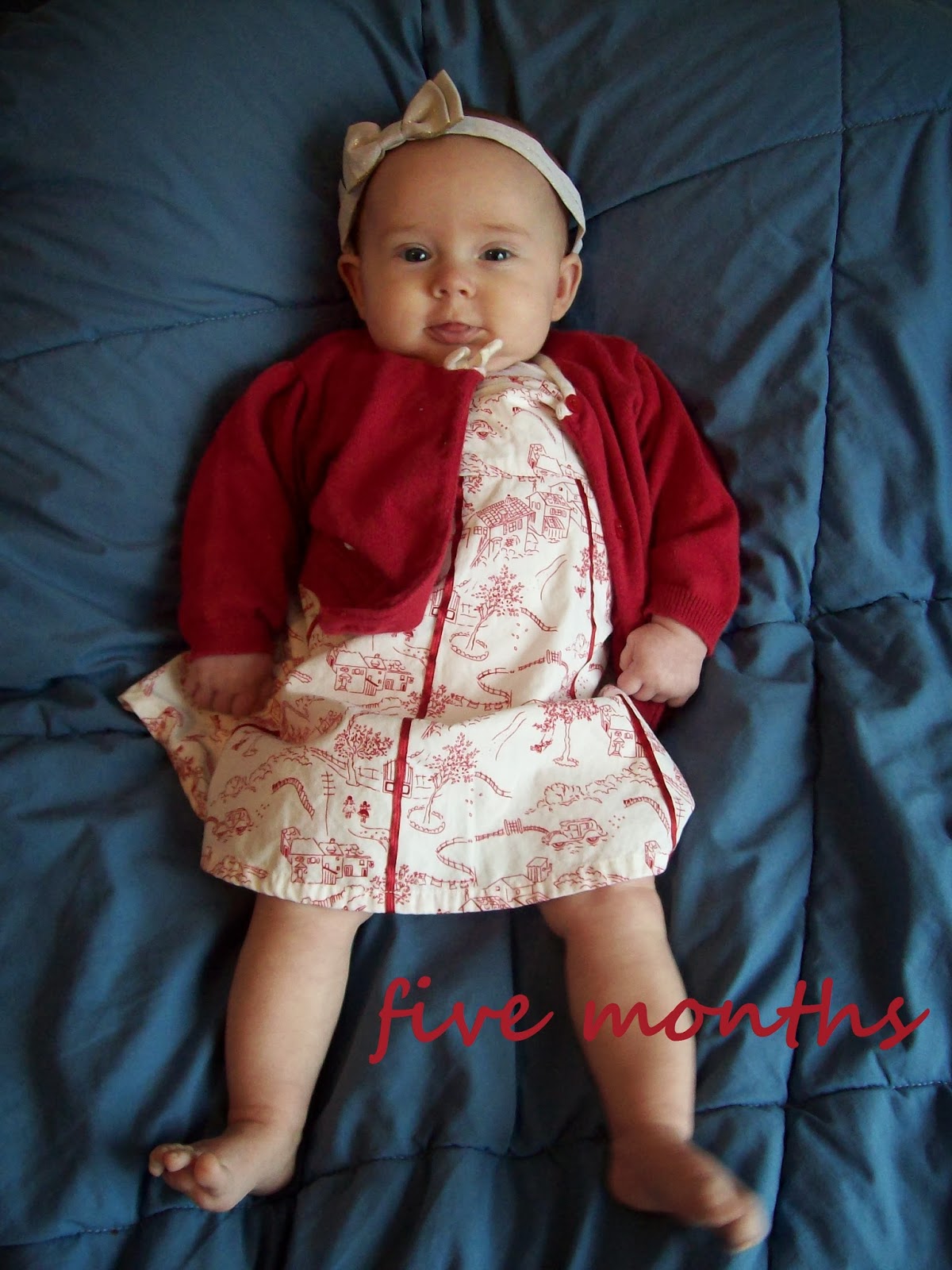 Sceleratus Classical Academy: Lady Bug is Five Months Old!