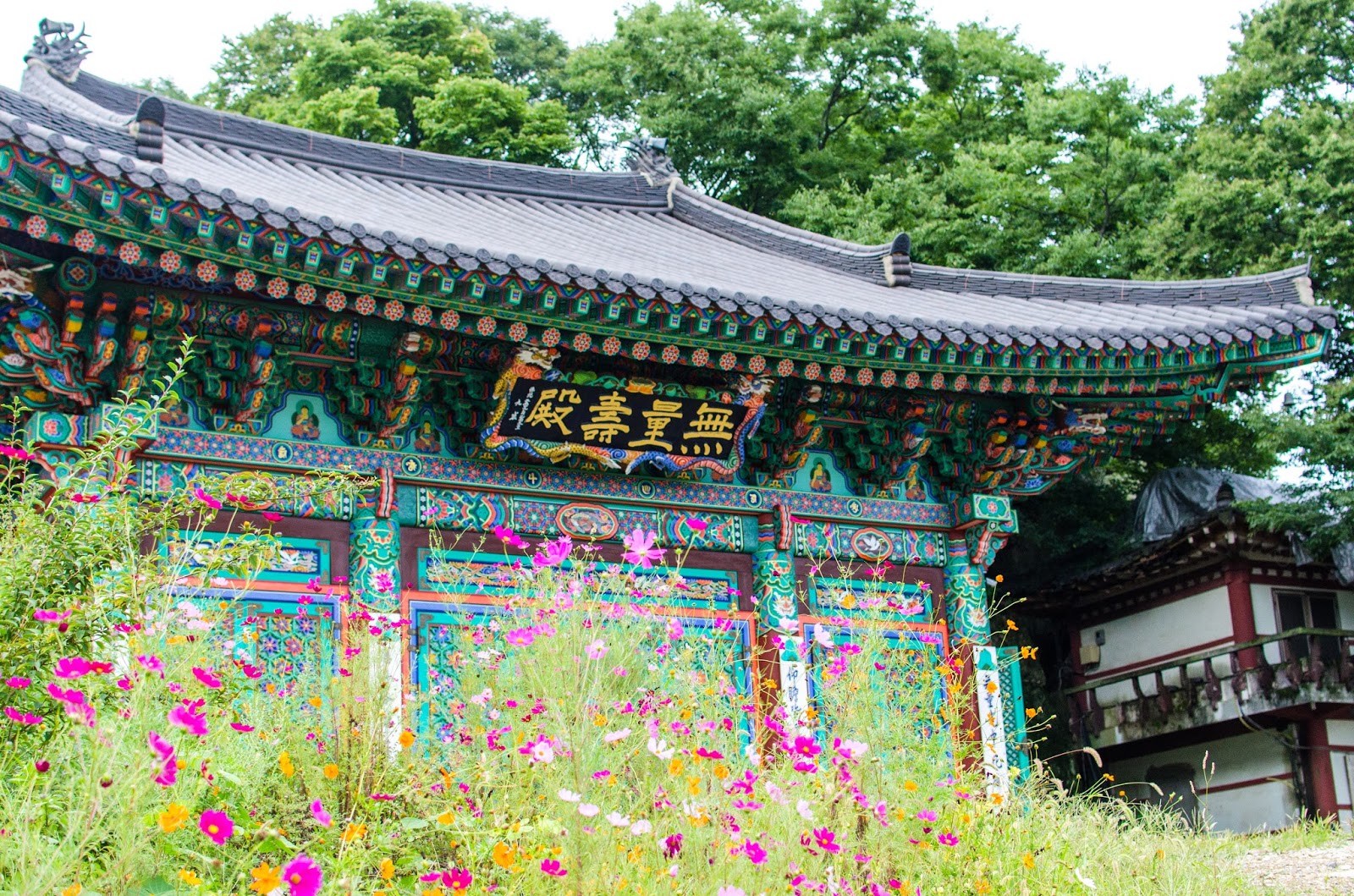 왕룡사, Pohang's Hidden Temple | 10 Pictures in Pohang