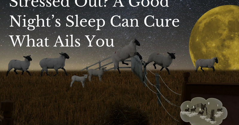 The Long and Winding Road to Wellness: Stressed Out? A Good Night’s ...