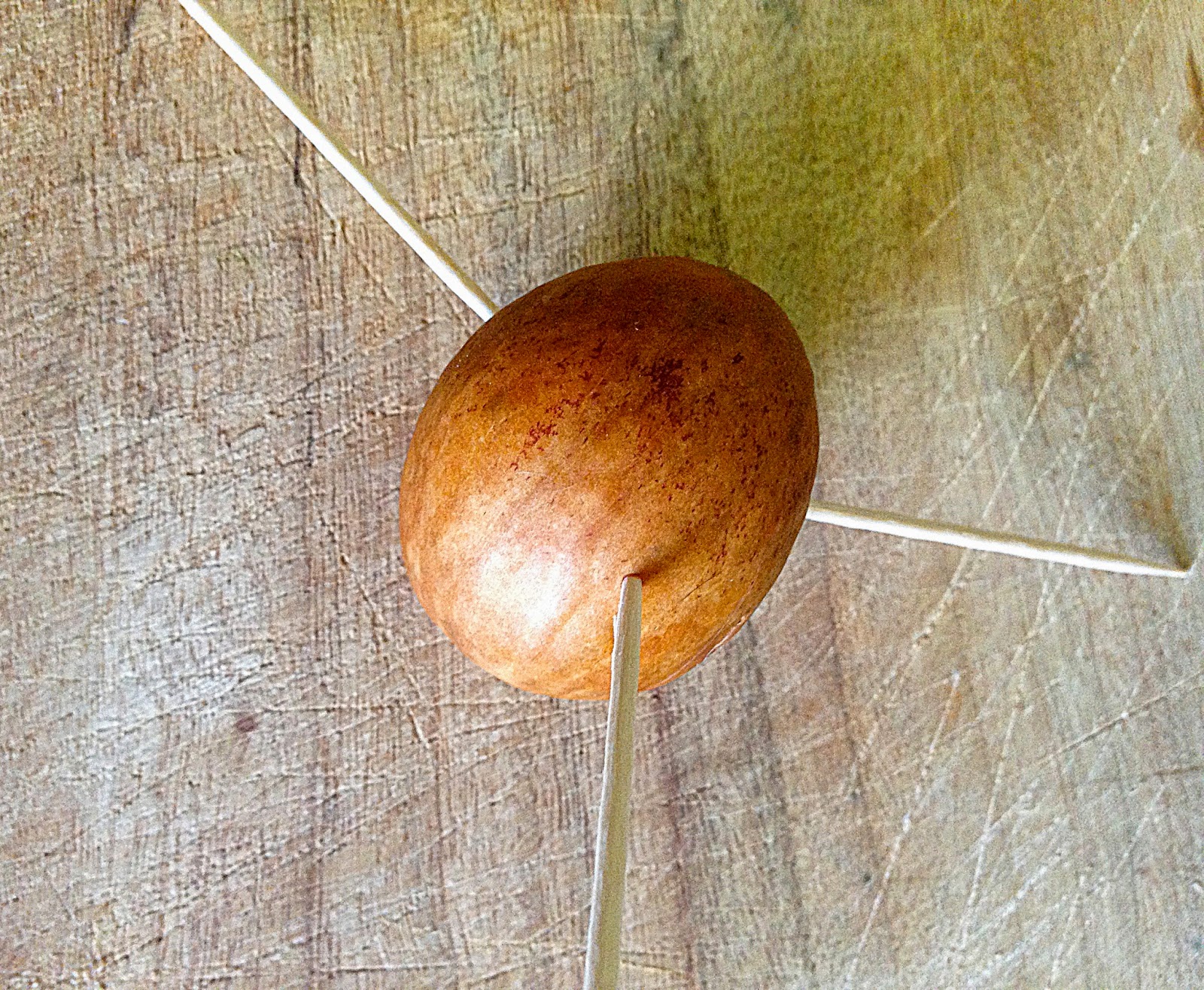 Daughter Of Pearl: How To Grow An Avocado Tree From Seed