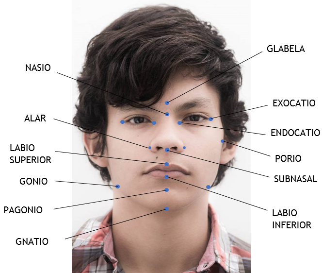 INTRODUCCIÓN A LA ODONTOLOGÍA.