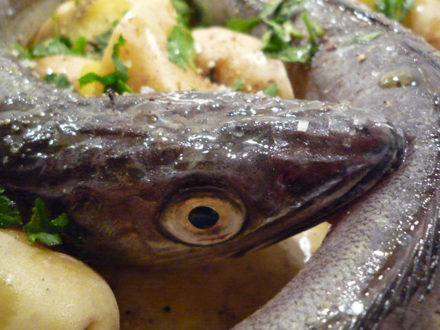 Bolli's Kitchen: Merluchon aux rattes - Kleiner Seehecht mit Rattes ...