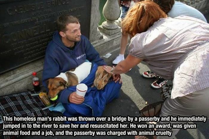 People doing amazing things for animals (28 pics) | Amazing Creatures