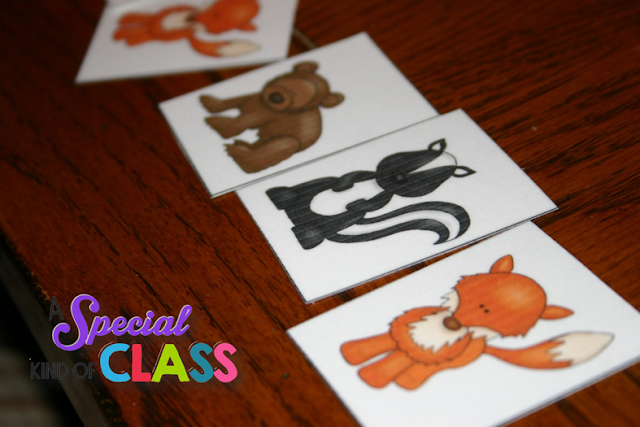 A special kind of class: Work Station Wednesday - Forest Animals