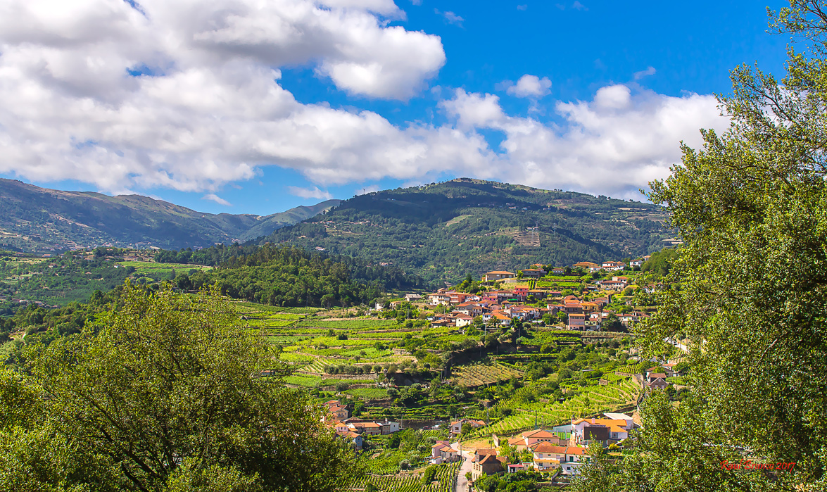 À DESCOBERTA DO MEU PAÍS: Douro - Barqueiros
