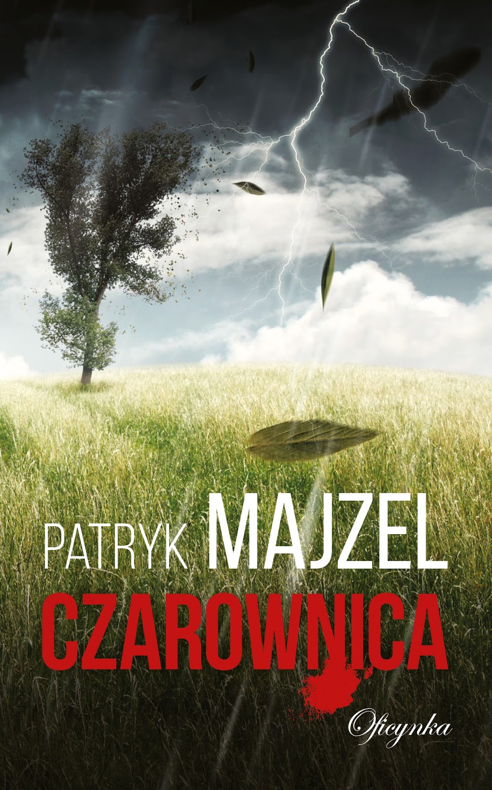 Przewodnik Czytelniczy: 100. P. Majzel "CZAROWNICA"