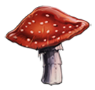 GUIDE TO POTTERMORE ITEMS: PS – Chp 15: Into the Forbidden Forest