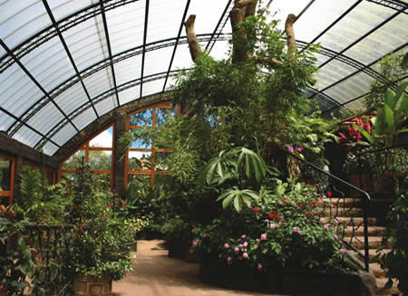 MARIPOSARIO DE WEKSO: Presentación y Conclusiones