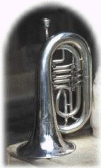 LA SARDANA: LA SARDANA OBLIGADA