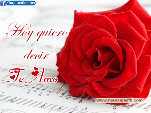 Rosas rojas te amo - Imagui