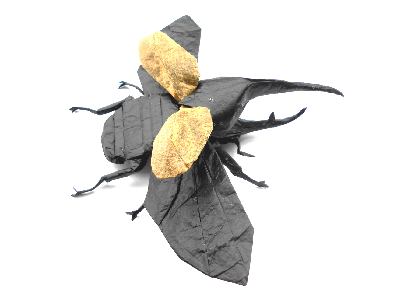 Mariano Mi Mundo El Origami Flying Hercules Beetle