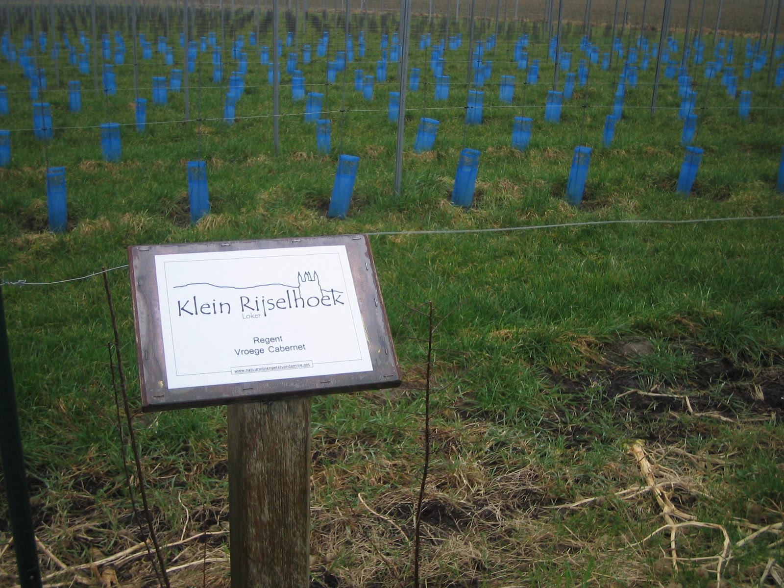 Heuvelland-Wijnland: Klein Rijselhoek, Loker. Peter Vandamme.