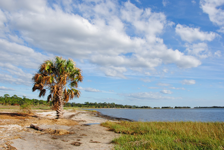 Desolation Florida: The Dixie Mainline and Shired Island