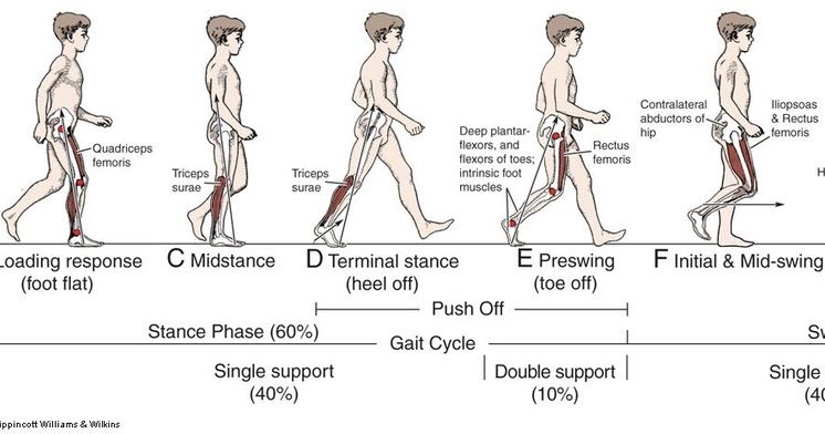 Fisioterapi Indonesia: Gait Analysis