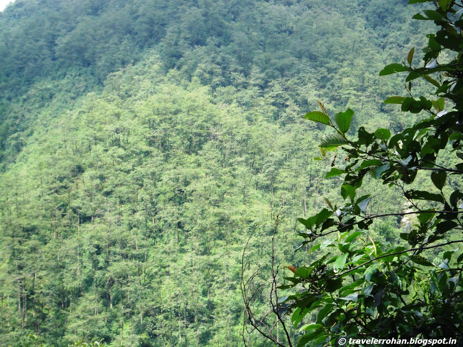 Sikkim Sojourn Part 5 - Glimpses of Sikkim (The Land of Guru Dongmar ...