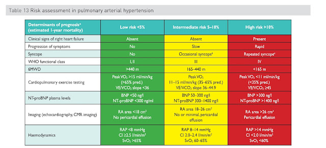 Respiratory Decade: 2015 Guidelines for the diagnosis and treatment of ...