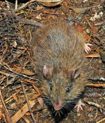 Make It Davao: July 2012