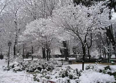 Sabes Que Es y Como Se Forma La Nieve | ACTUALIDAD NT
