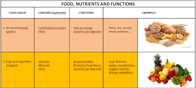 Science and Physical Education: FOOD, NUTRIENTS AND FUNCTIONS