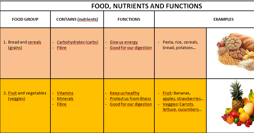 Science and Physical Education: FOOD, NUTRIENTS AND FUNCTIONS