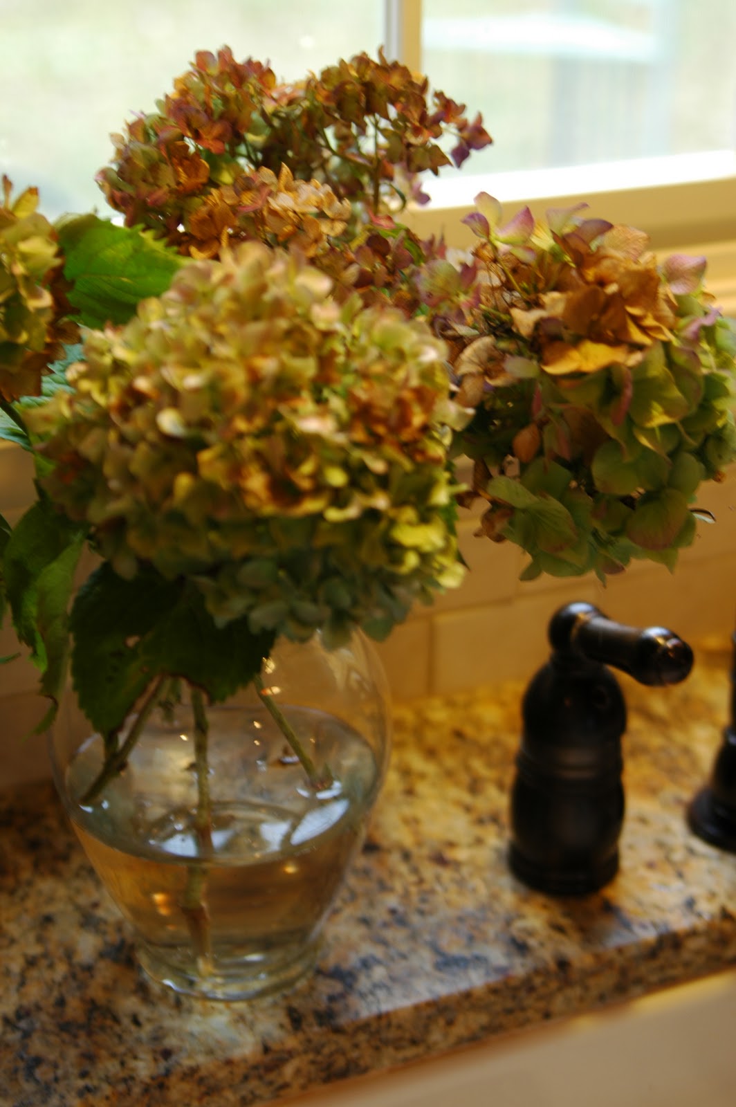 deborah jean's DANDELION HOUSE and GARDEN : Larder Love