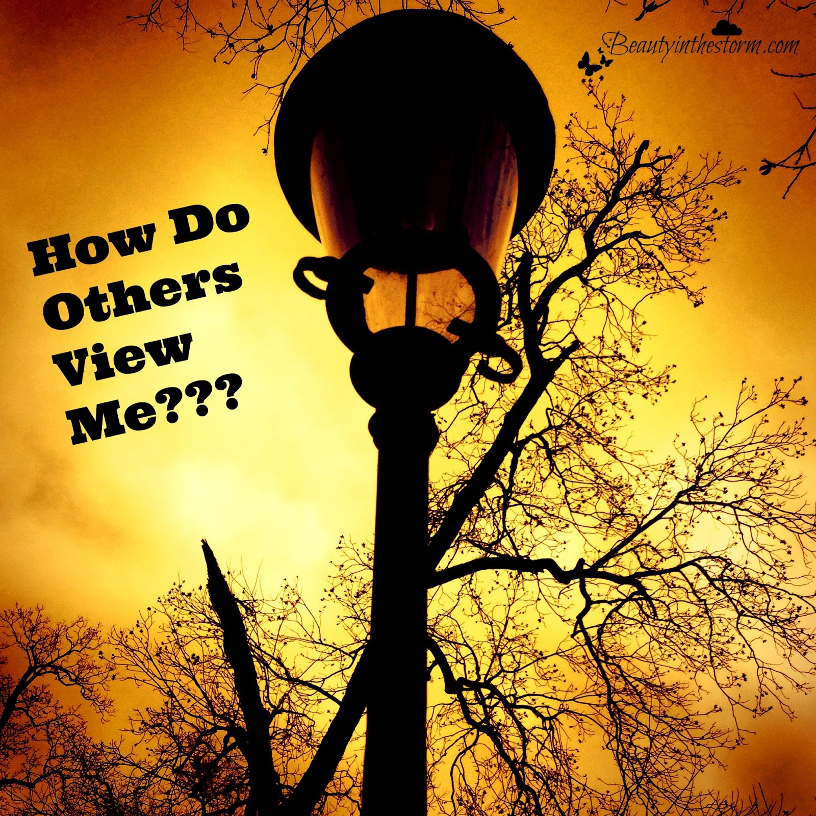 ~Beauty In the Storm ~: How We See Ourselves, Isn't Always How Others ...