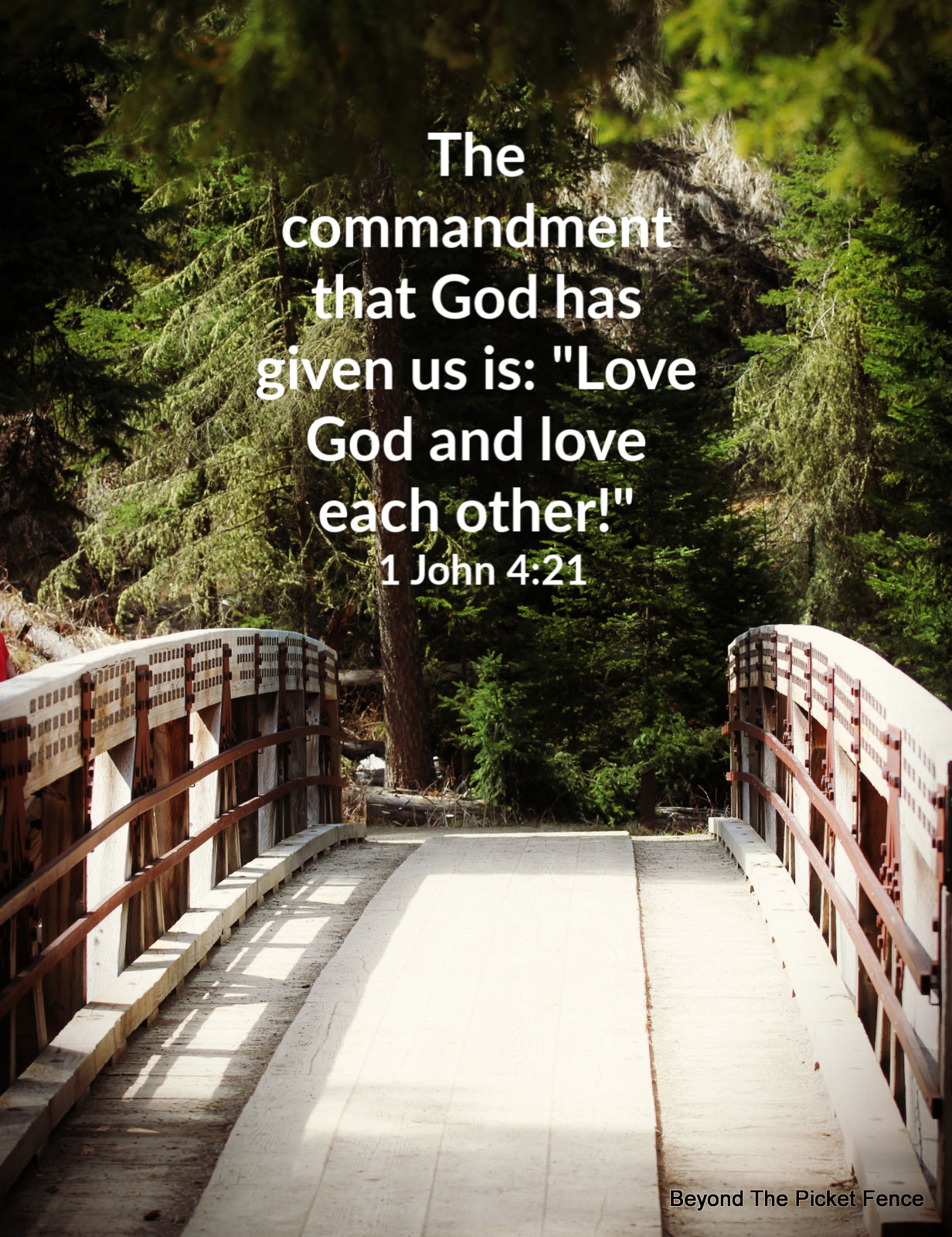 Beyond The Picket Fence: Sunday Verses