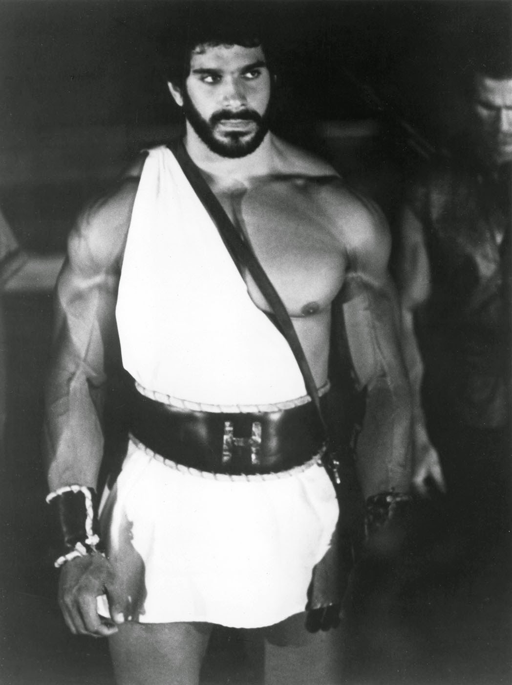 The Ultimate Hercules Blog: Lou Ferrigno in the Seven Magnificent ...