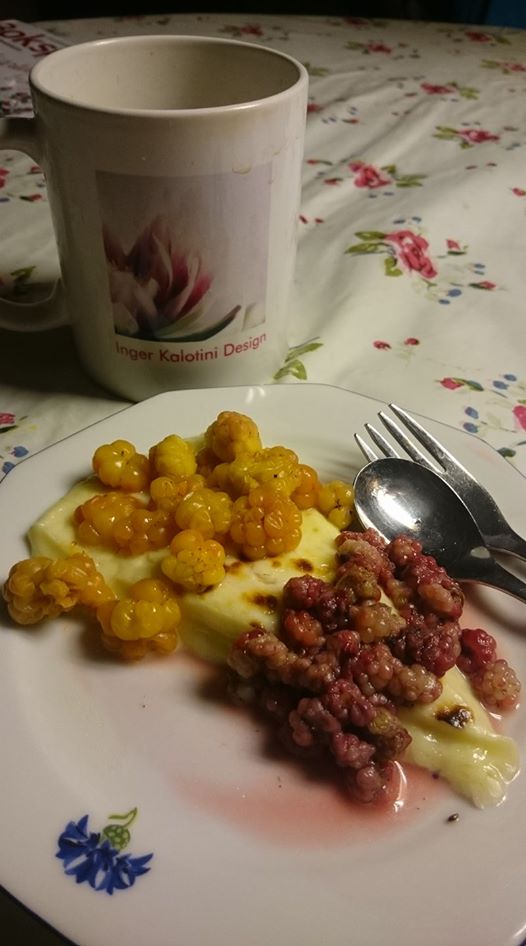 Inger´s sagor och recept: Kaffeost med bär till efterrätt