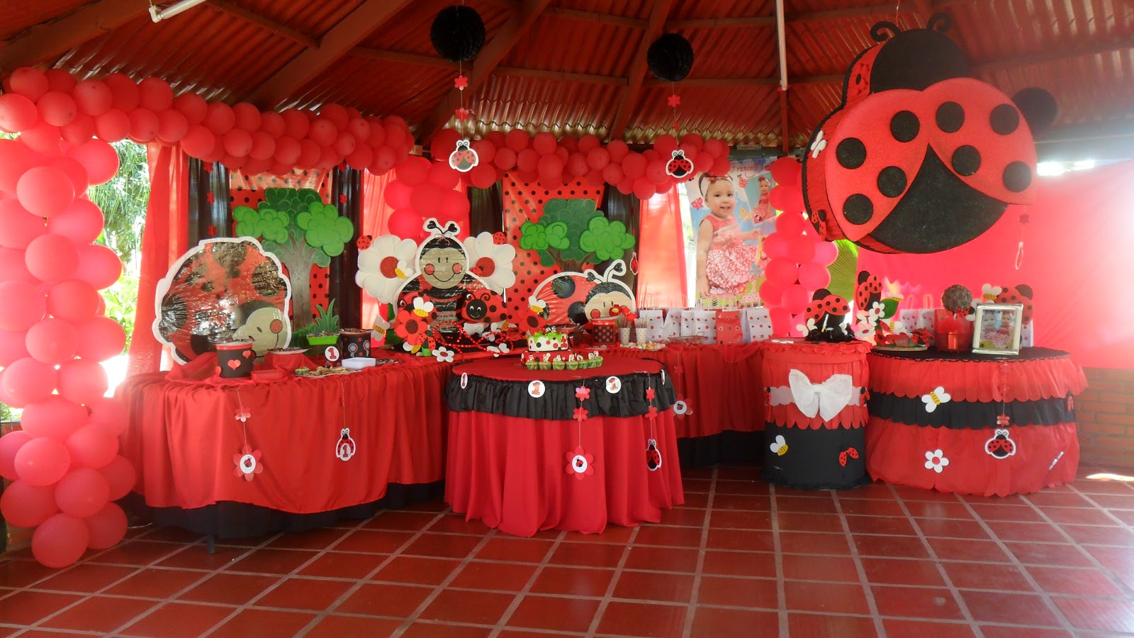 Ursula Newman Eventos: Decoración fiesta infantil LADYBUG