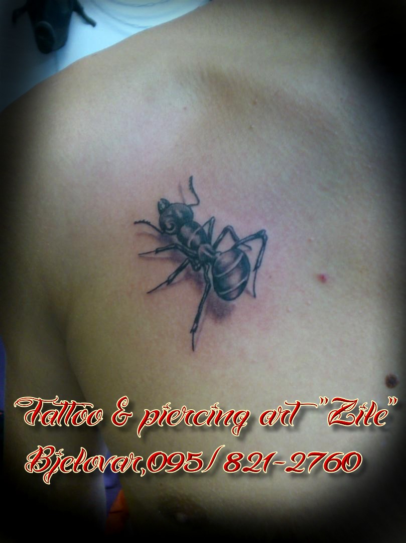 Tattoo studio "ZILE"