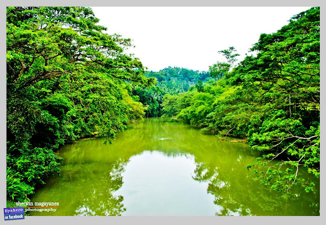 Byahero: Sipatan Hanging Bridge in Sevilla, Bohol
