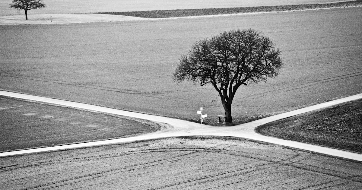 Là où je suis née: A la croisée des chemins