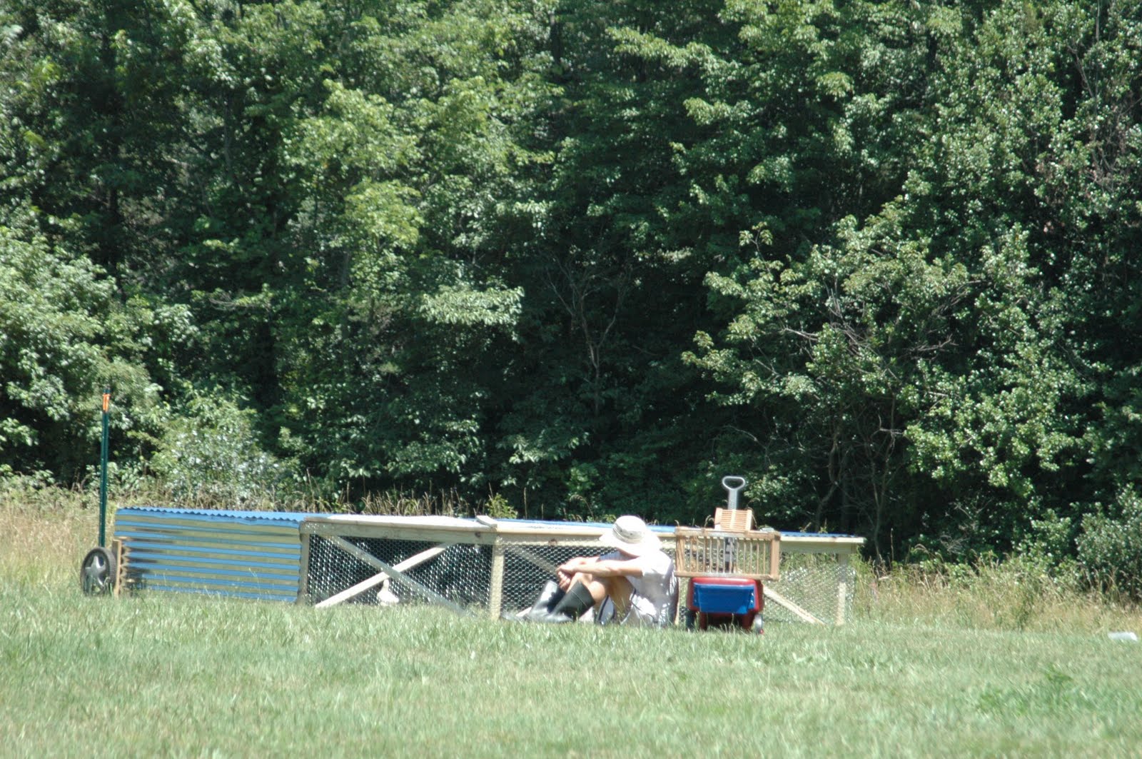 Green Legacy Farm: Broiler Pens, Polyface-Style: Green Acres Weekend Update