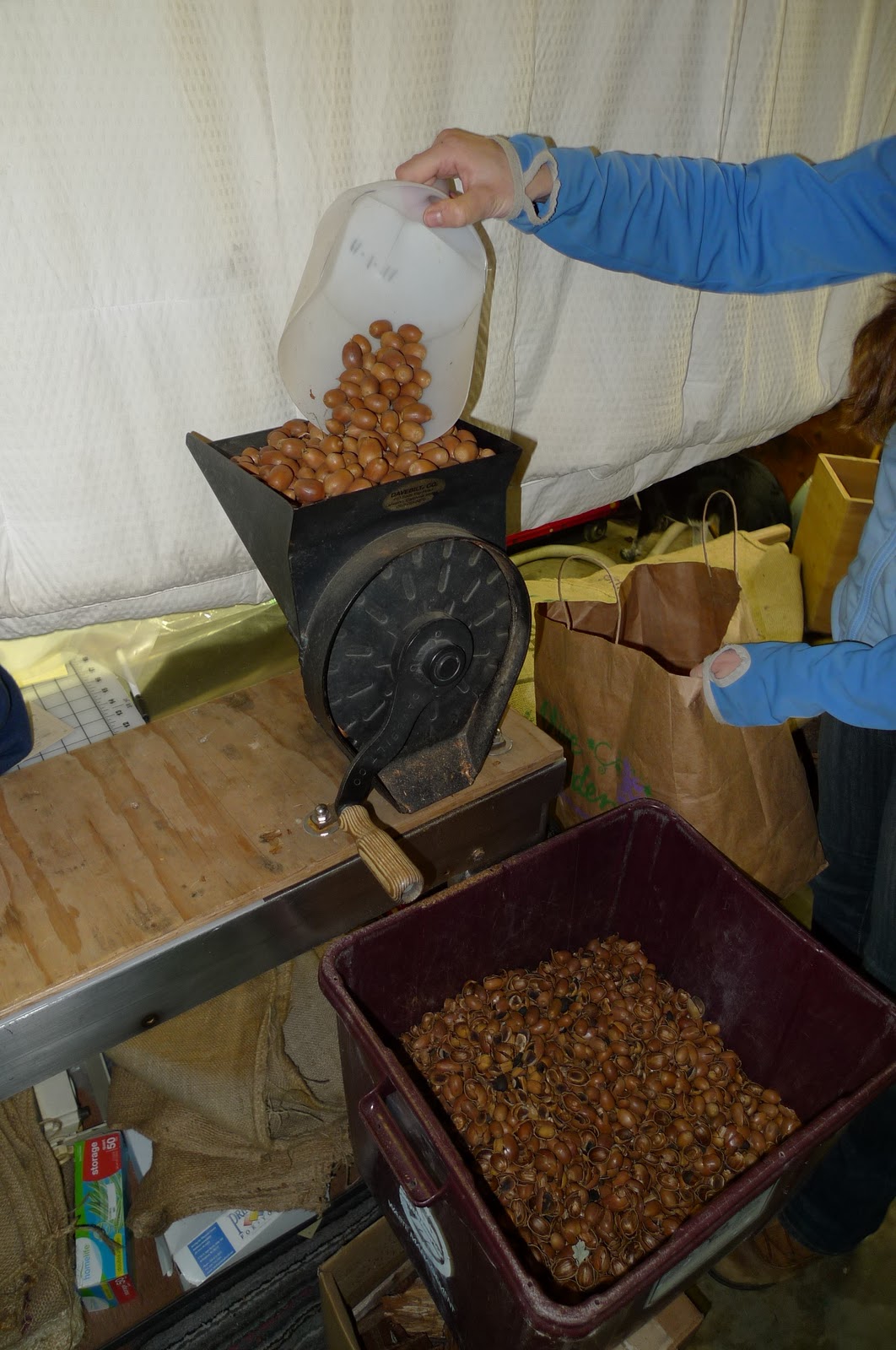 Wild Harvests: Acorn Cracking Davebilt Style