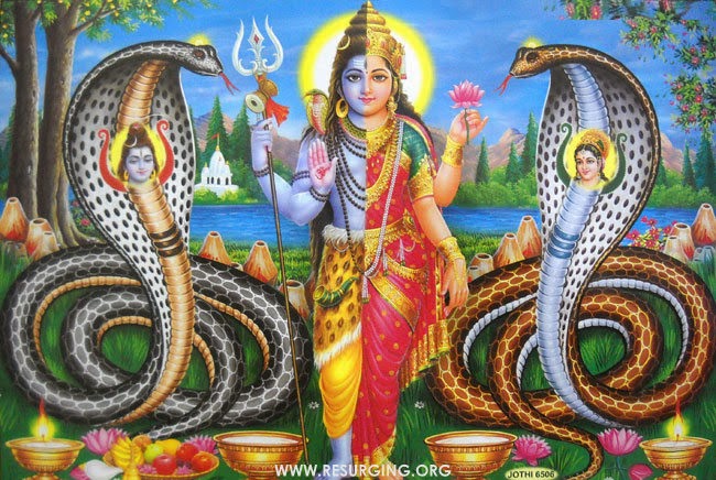 Ardhanarishwara - Lord Shiva: Who is Half woman and Half Man