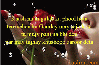 TASHNIGI: Picture Shair-o-Shairy GIF