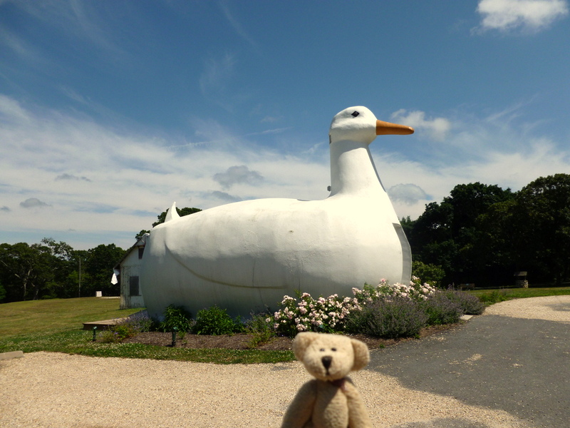 The Iconic Muse: The Big Duck