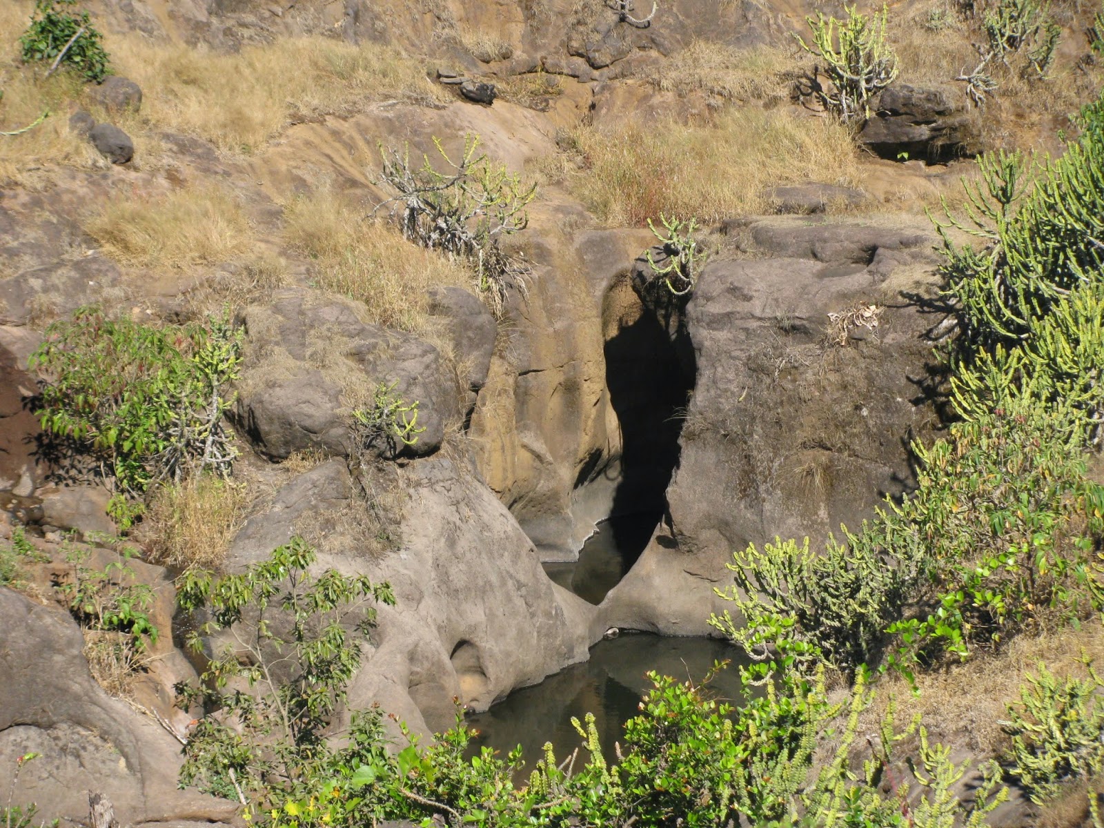 Weekend Nature Explorer: Trek Durg, Dhakoba, Amboli & Darya Ghat