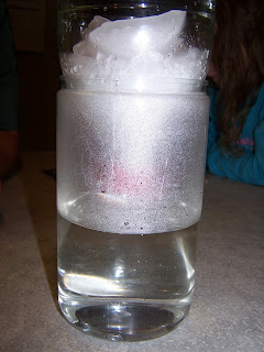 My Homeschool Tale: Science Experiment: The Water Cycle